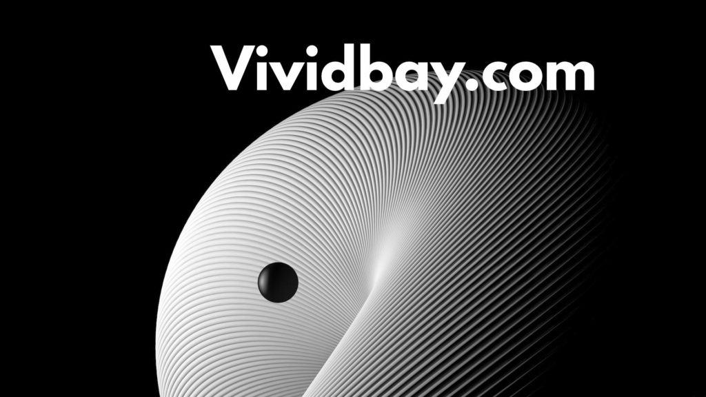 About - VIVIDBAY